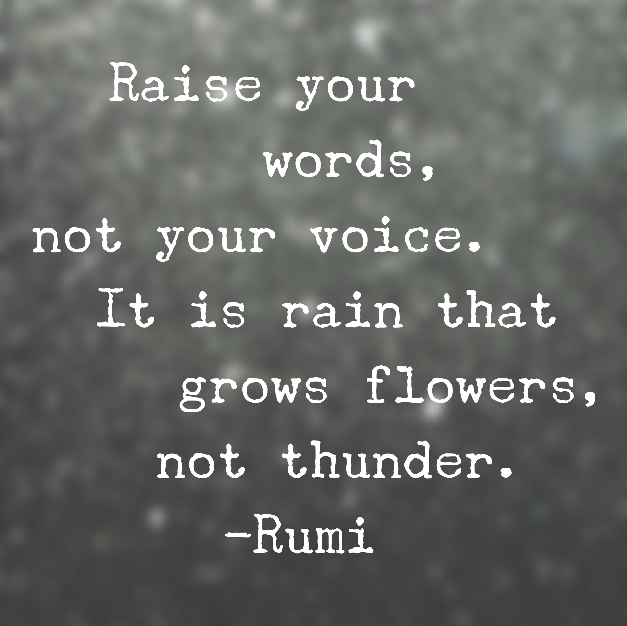 IMG_1929 – Amy Coates